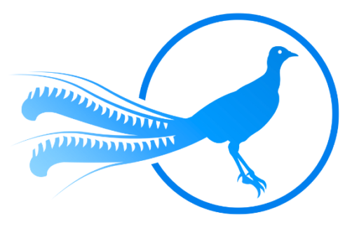 Liarbird | Give Attackers the Bird